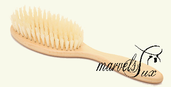 Tipos de Cepillos y Peines para el acicalado del Yorki